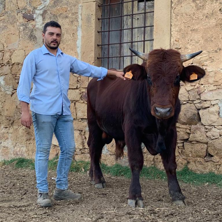 La nostra Storia | Azienda Agricola Miceli